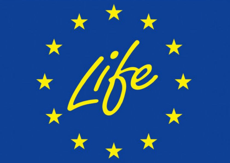 What does proposed EU 2040 target mean for climate action? - Carbon ...