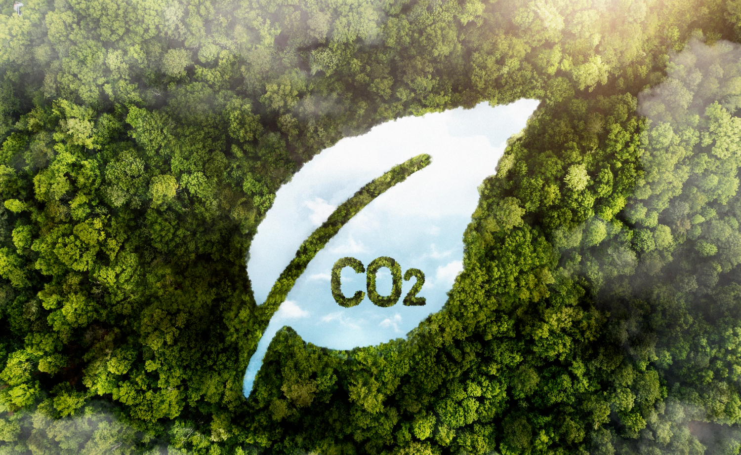 Corporate Climate Responsibility Monitor - 2024 - Carbon Market Watch