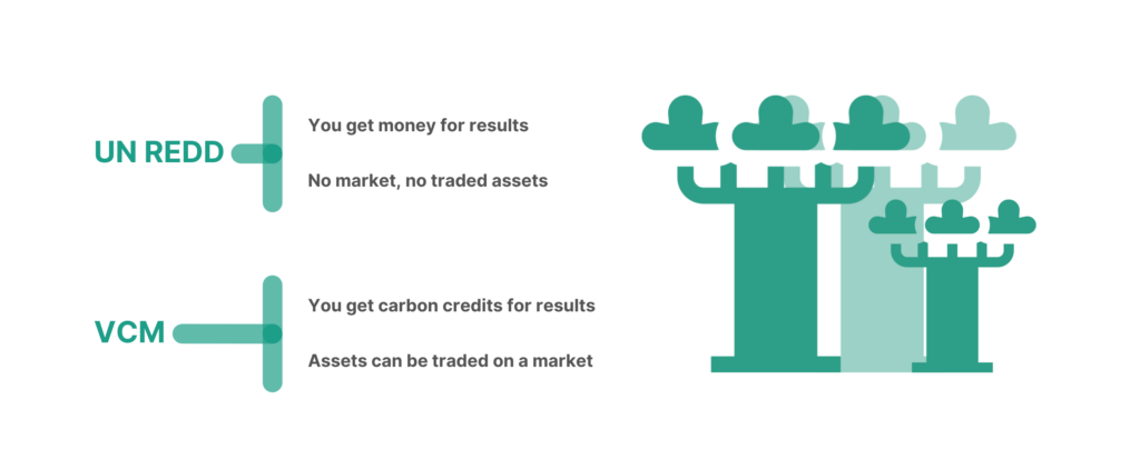 REDD+ FAQ: Explaining the ins and outs of forestry climate projects ...