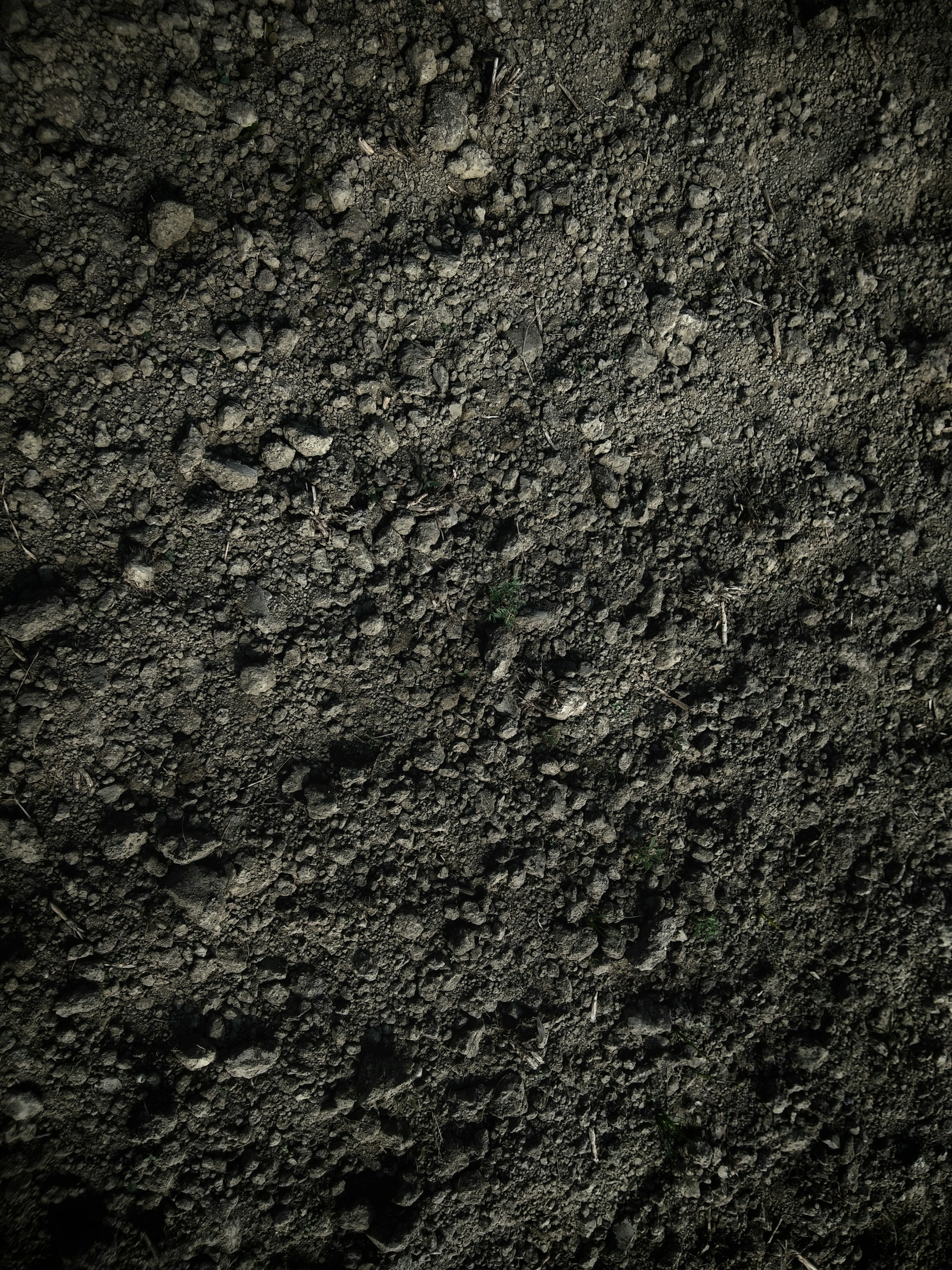 CRCF: The EU’s carbon removal certification failure - Carbon Market Watch CRCF: The EU’s carbon removal certification failure - Carbon Market Watch