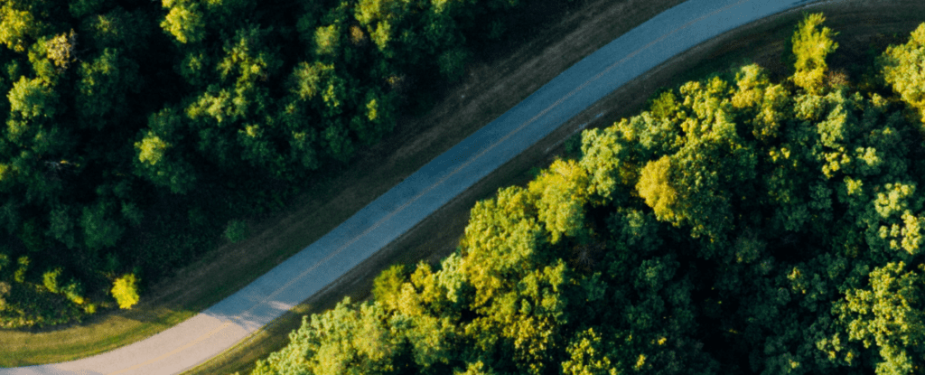 Carbon Market Watch For Fair And Effective Climate Action